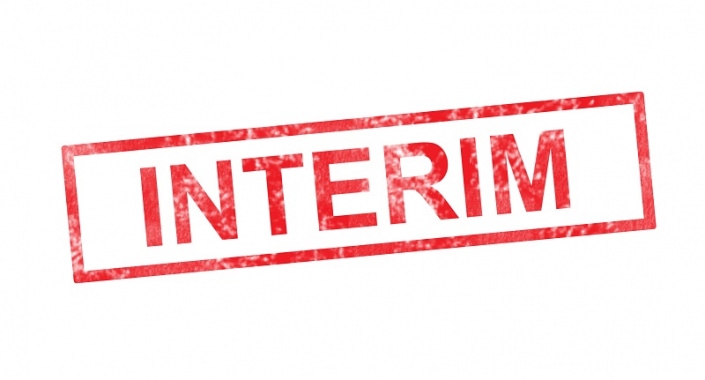 Management Consulting/Interim Management Consulting